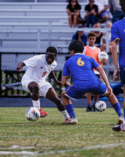 Conchs shutout Fins for second time this season | Local School Sports ...