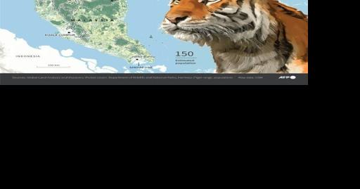 malayan tiger conservation status