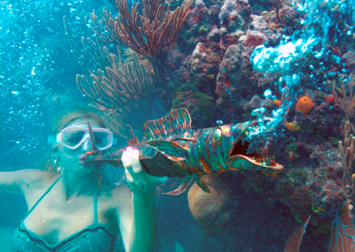 Lower Keys Underwater Music Festival to ‘make waves’ for reef ...