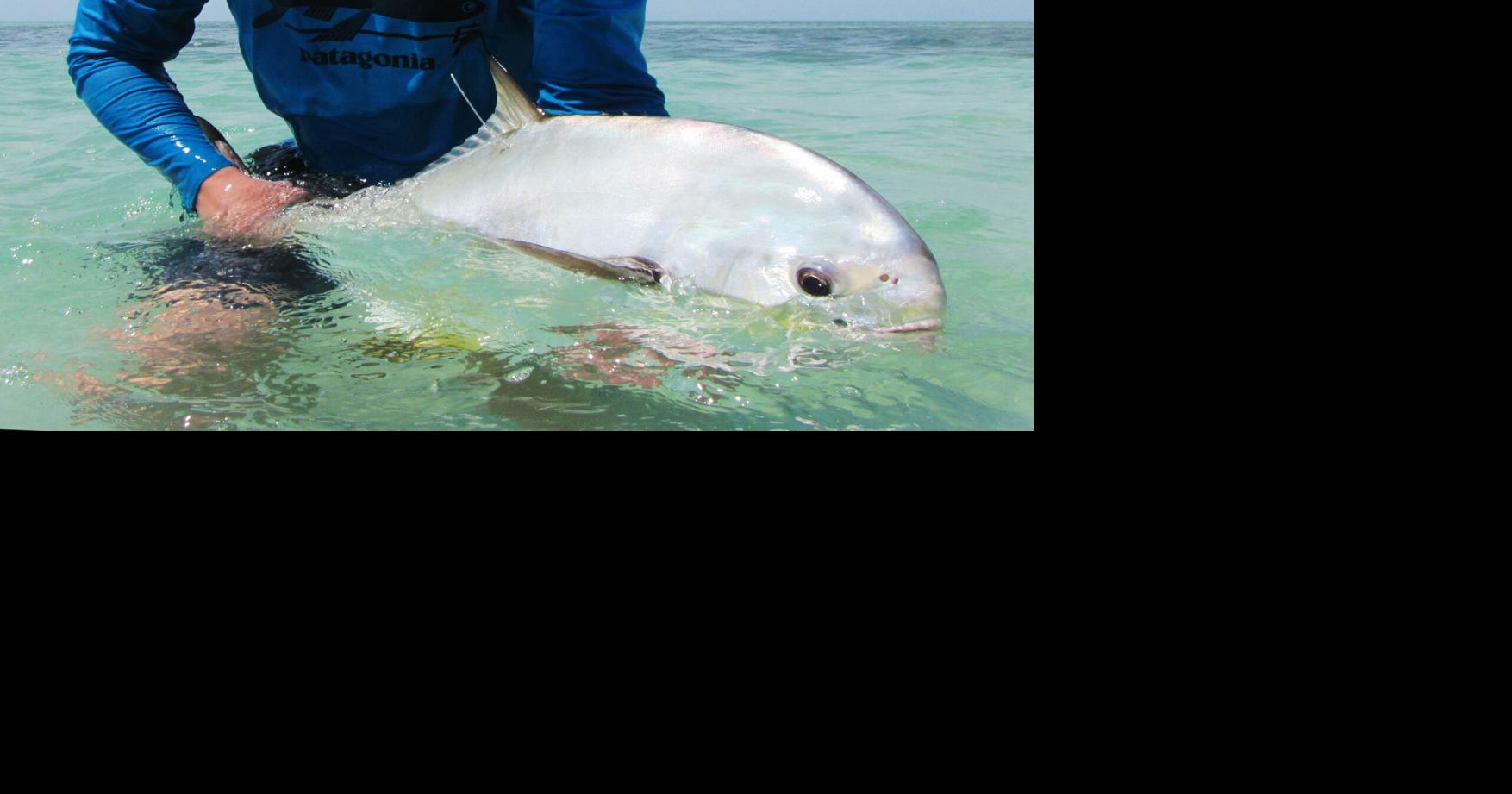 Researchers ramp up efforts at Western Dry Rocks | Local News ...