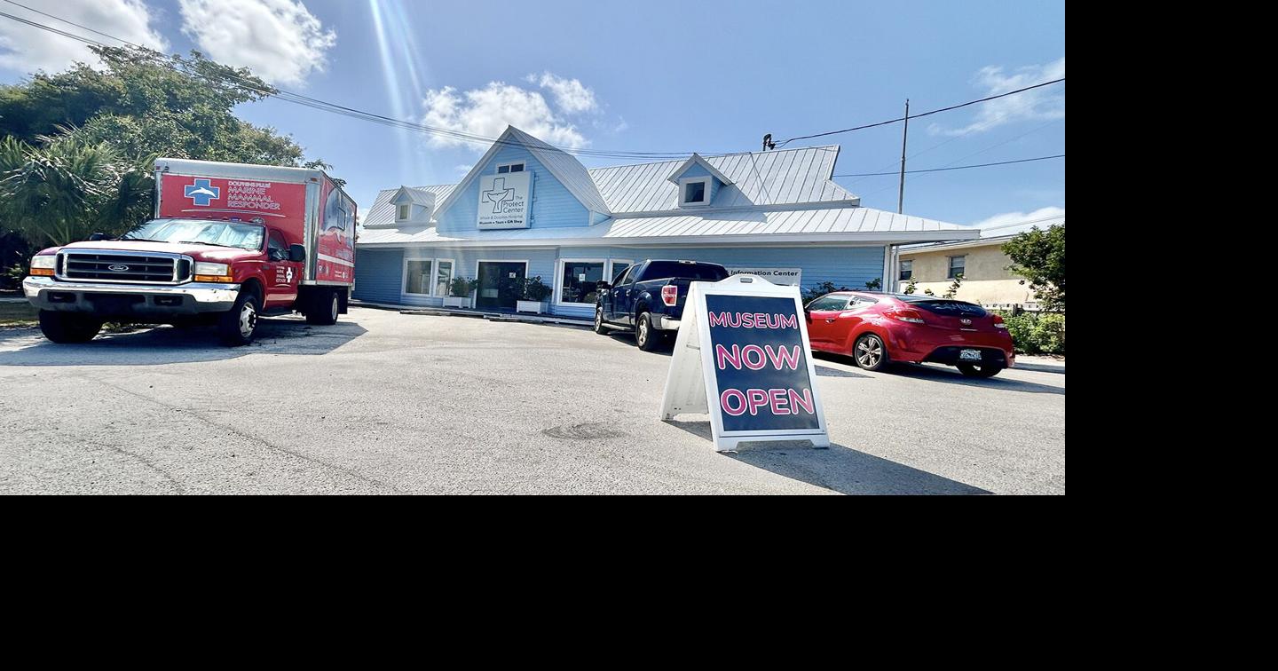 Rescue group breaks ground on whale, dolphin hospital | Upper Keys ...