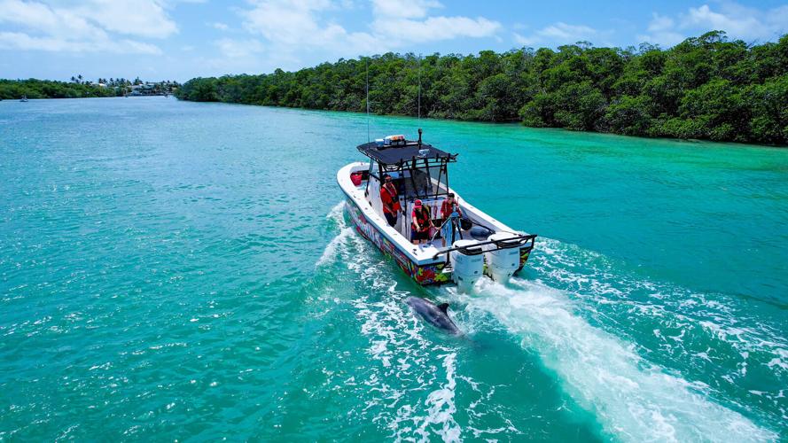 TowBoatUS Islamorada boat is puzzling | Business | keysnews.com