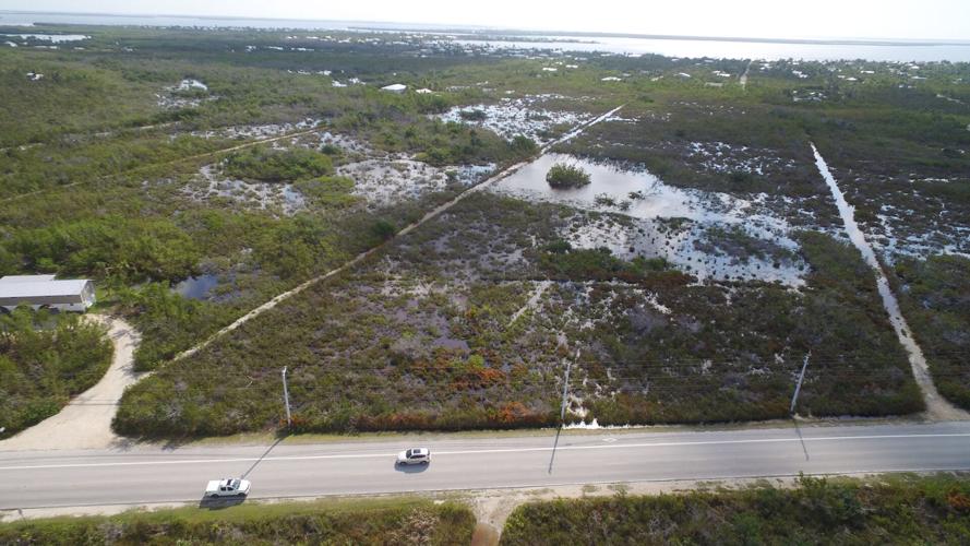 Big Pine Key wetland restoration project begins | Local News | keysnews.com