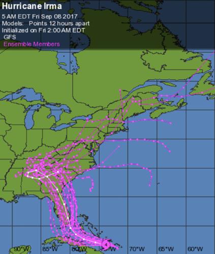 Hurricane Preparedness for Pets, Part 2 | Columns | keysnews.com
