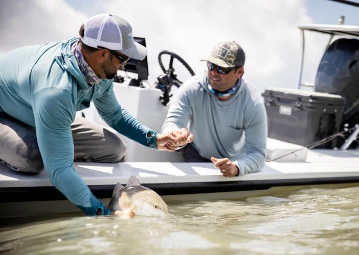 Study: Pharmaceuticals found in redfish | Local News | keysnews.com