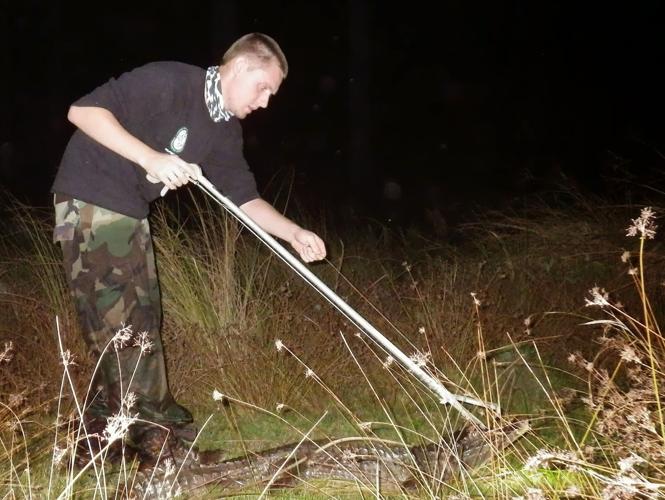 Invasive caimans removed from Glades | County | keysnews.com
