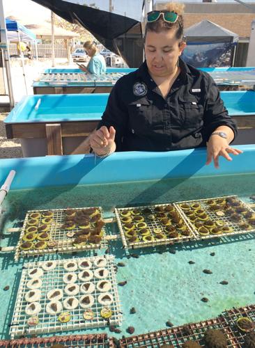 Layton marine laboratory shares mission, projects | Local News ...