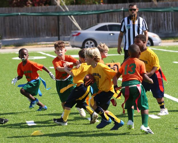 Seahawks, Packers, Gators end season with perfection | Club Sports ...