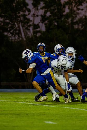 Second-half miscues allow Ascenders to pull away from Dolphins | Local ...