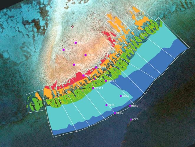 Iconic reef took on Hurricane Ian and won, according to new data ...