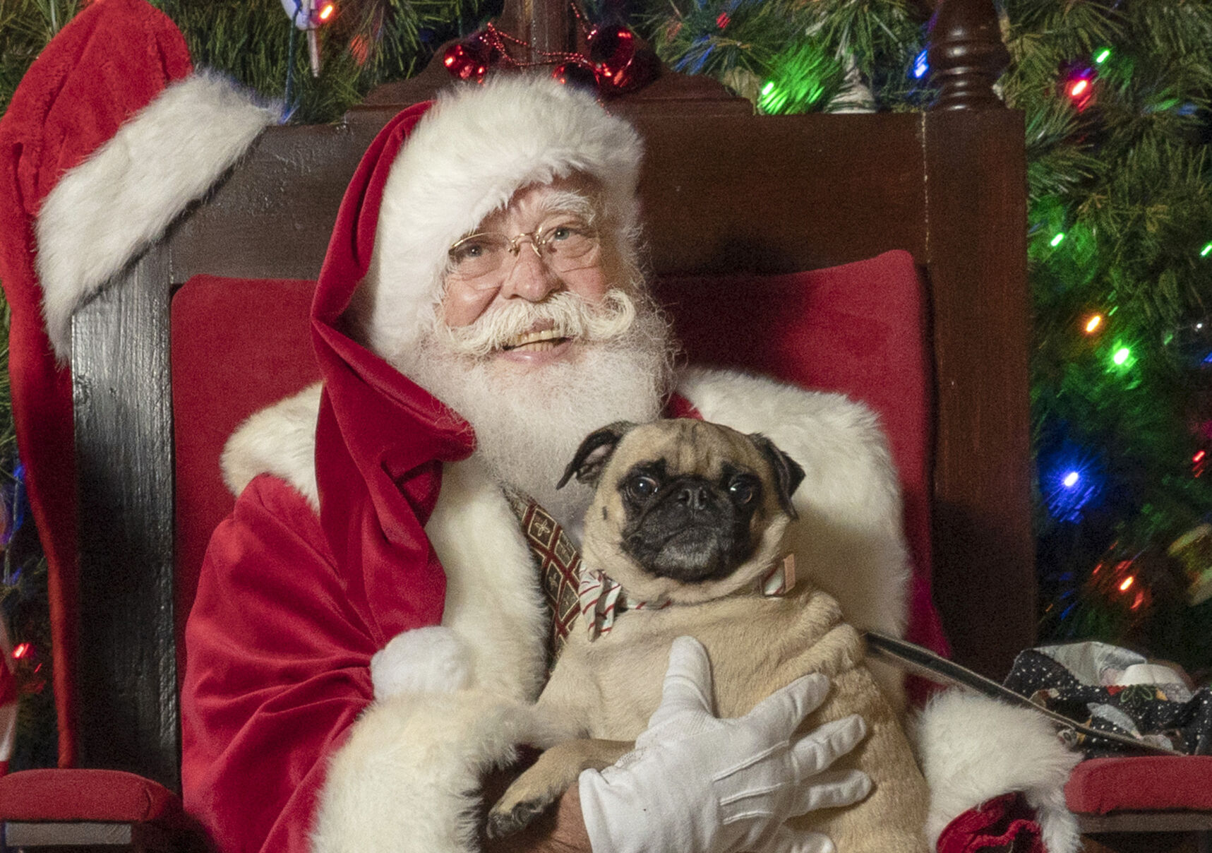 Bight to offer Santa pet pics | Mile Markers | keysnews.com