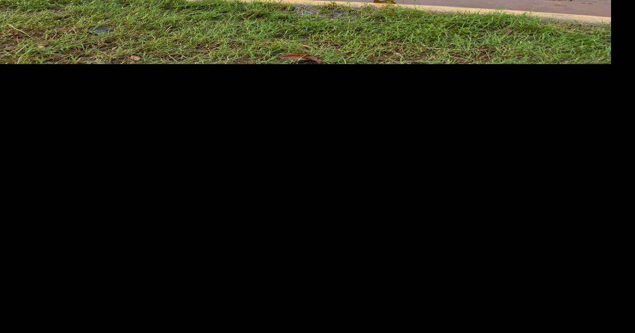 King tides flooding some streets, intersections | Local News | keysnews.com