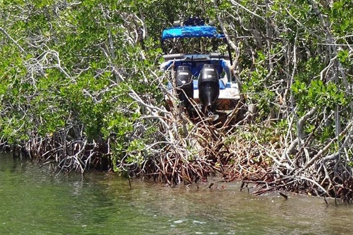 U.S. boat fatalities down, but Florida most deadly | Government ...