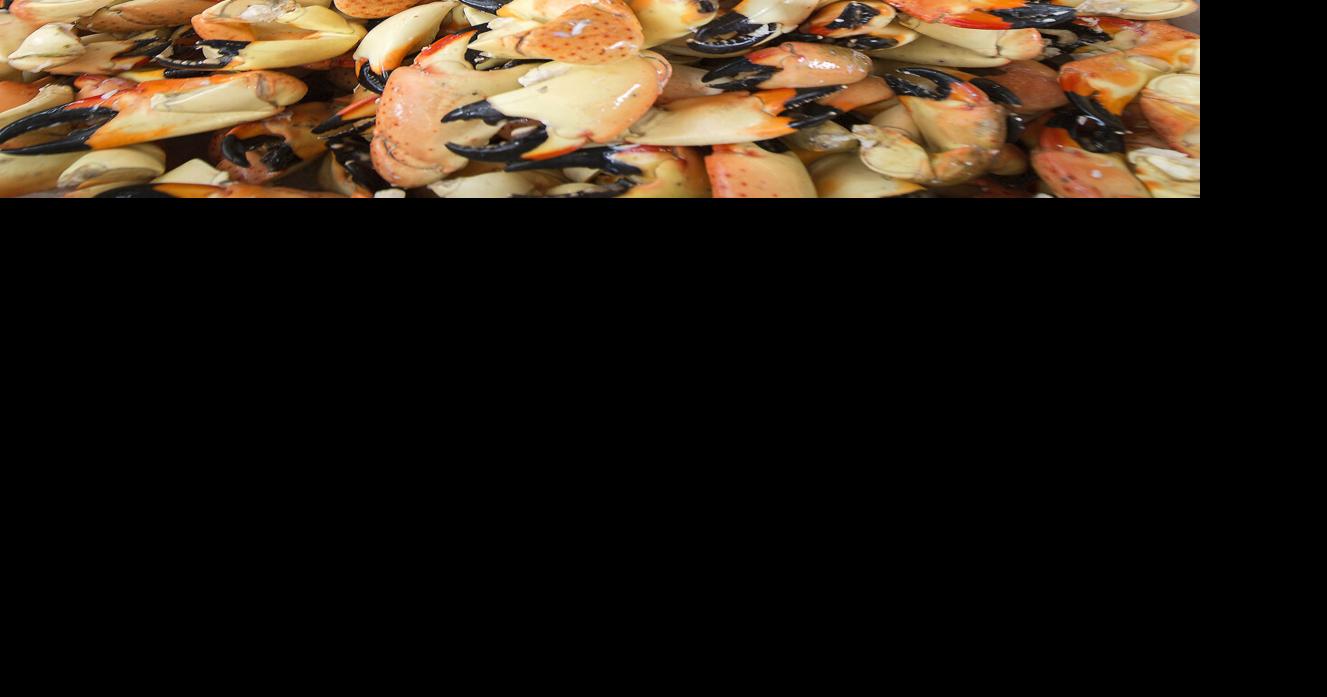 FWC kicks off stone crab study | Business News | keysnews.com