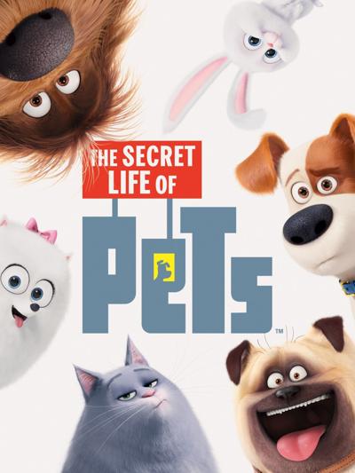Top 10 movies about pets | Movies | keysnews.com