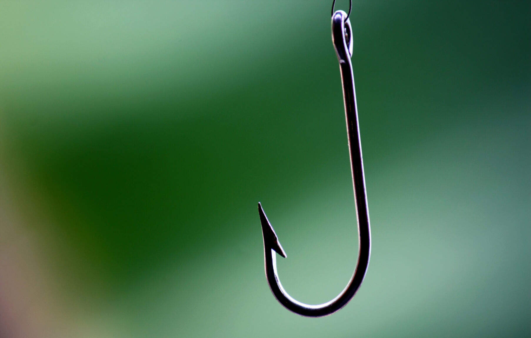 Creepy catch: Keys fishermen find bones, and more, in a jar | Local ...