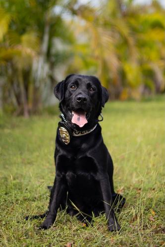 Cayo joins Police Department | Mile Markers | keysnews.com