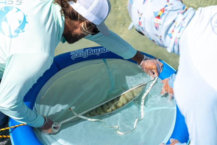 BTT bones up on bonefish research | Local News | keysnews.com