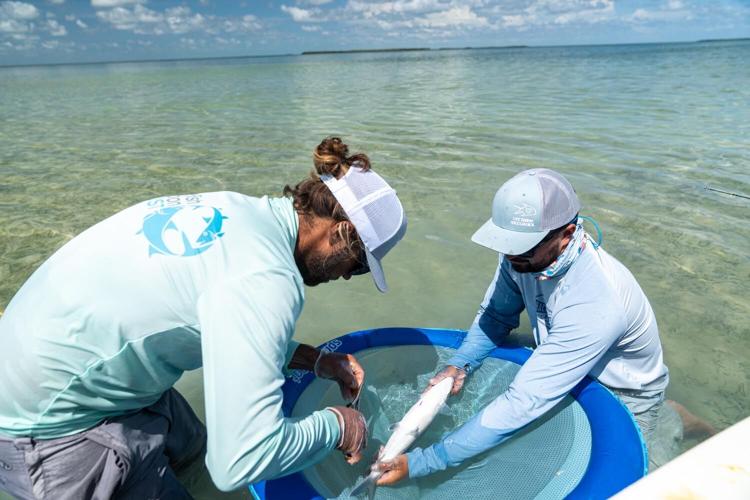 BTT bones up on bonefish research | Local News | keysnews.com