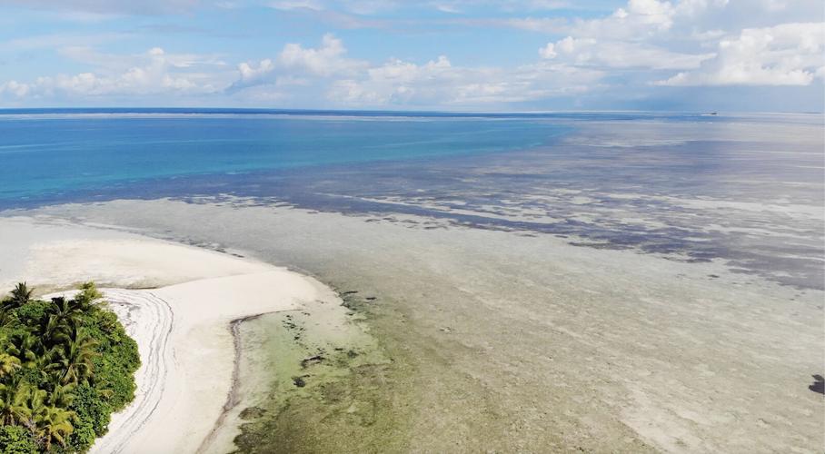 PROTECTING TIDAL FLATS: Study presents preservation strategies ...