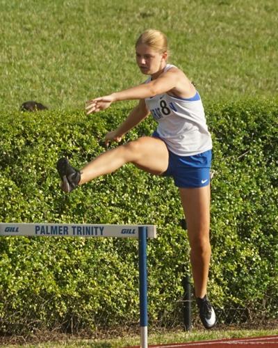 Several Dolphins soar high during Falcon Invitational | Local School ...