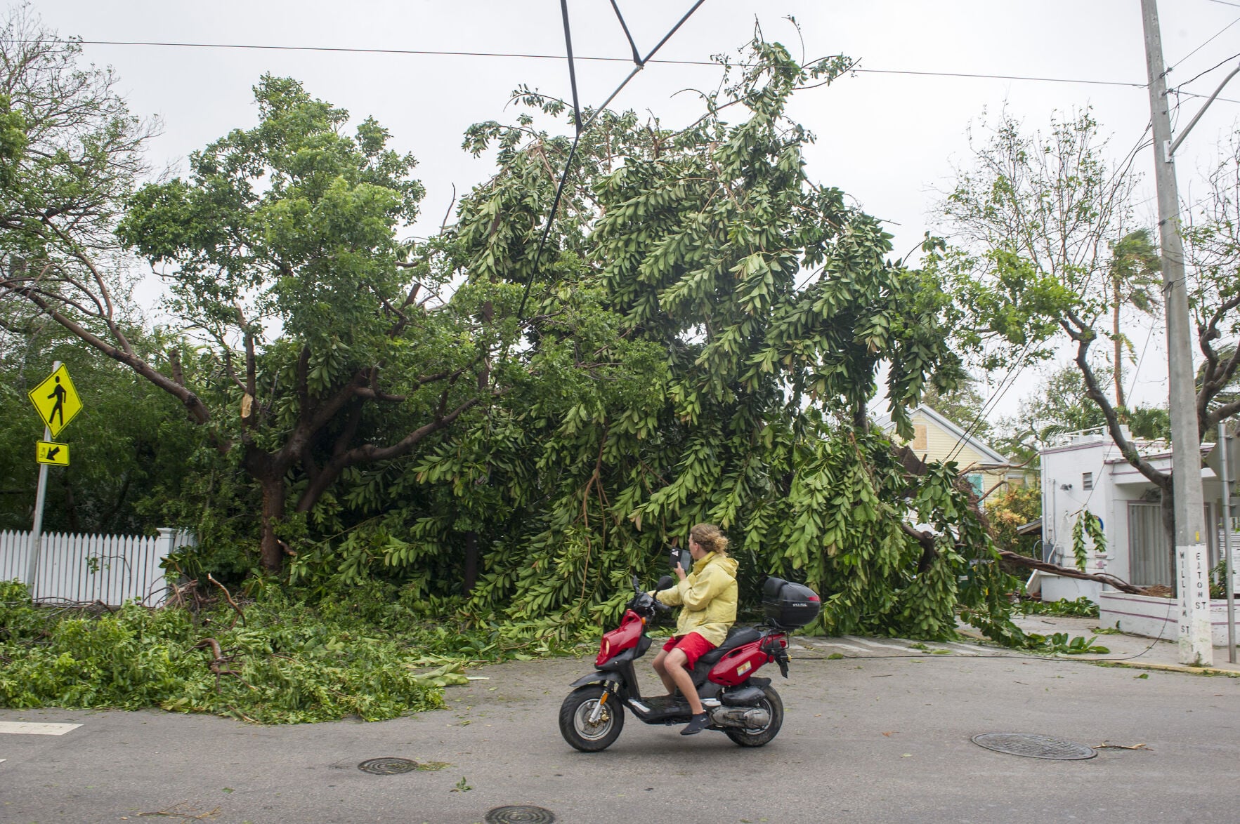 Off the grid: Restoring power to the people post-hurricane | Local News ...