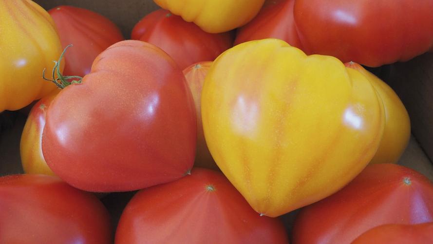 SEEDS OF WONDER | Keys Homes | keysnews.com