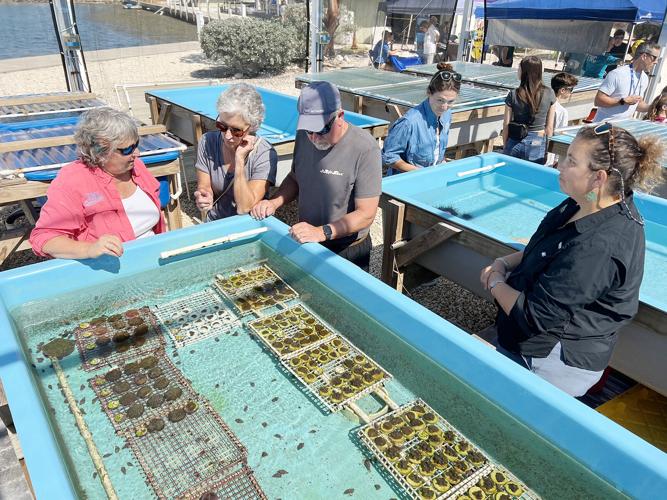 Layton marine laboratory shares mission, projects | Local News ...
