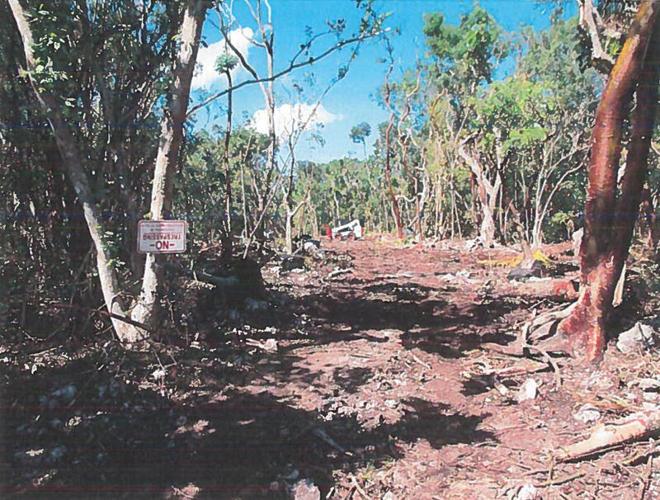 Keys farm receives favorable court ruling | Government / Politics ...