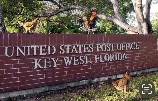 U.S. Congressman Giménez proposes renaming Key West Post Office after ...