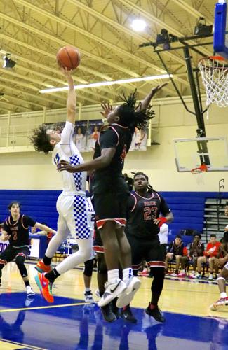 Dolphins take on powerhouses at home during tough weekend stretch ...