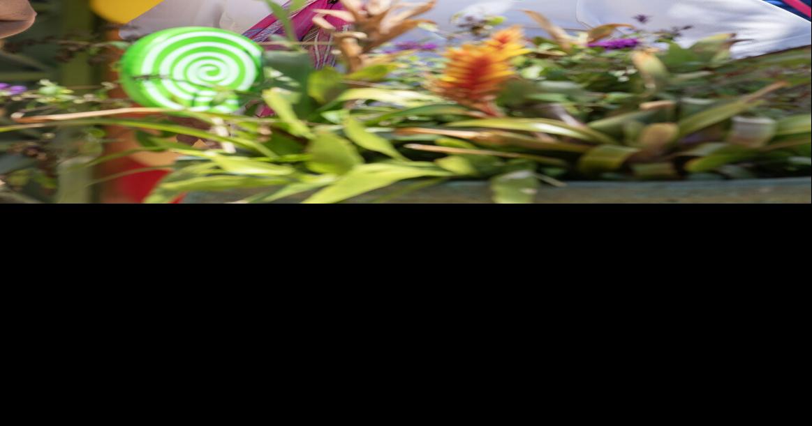 Key West attorney, businessman, entrepreneur Michael Halpern dies ...