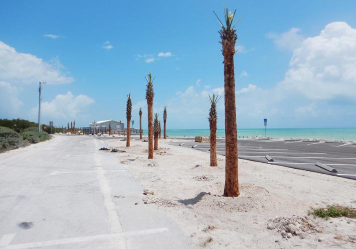 Sandspur Beach reopens after reconstruction | Local News | keysnews.com