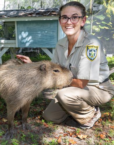 HOME ON THE FARM | Local News | keysnews.com