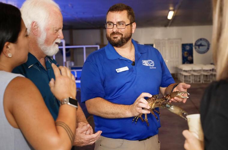 Mote opens crab hatchery | Local News | keysnews.com