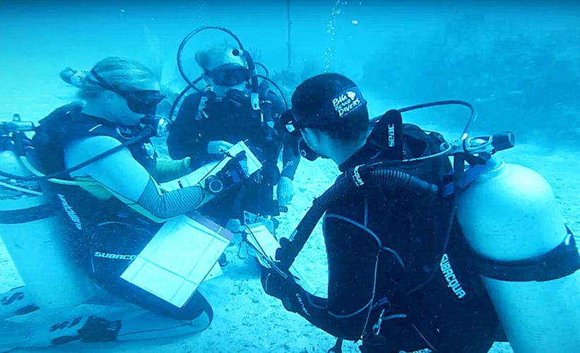 New program teaches underwater research | News | keysnews.com