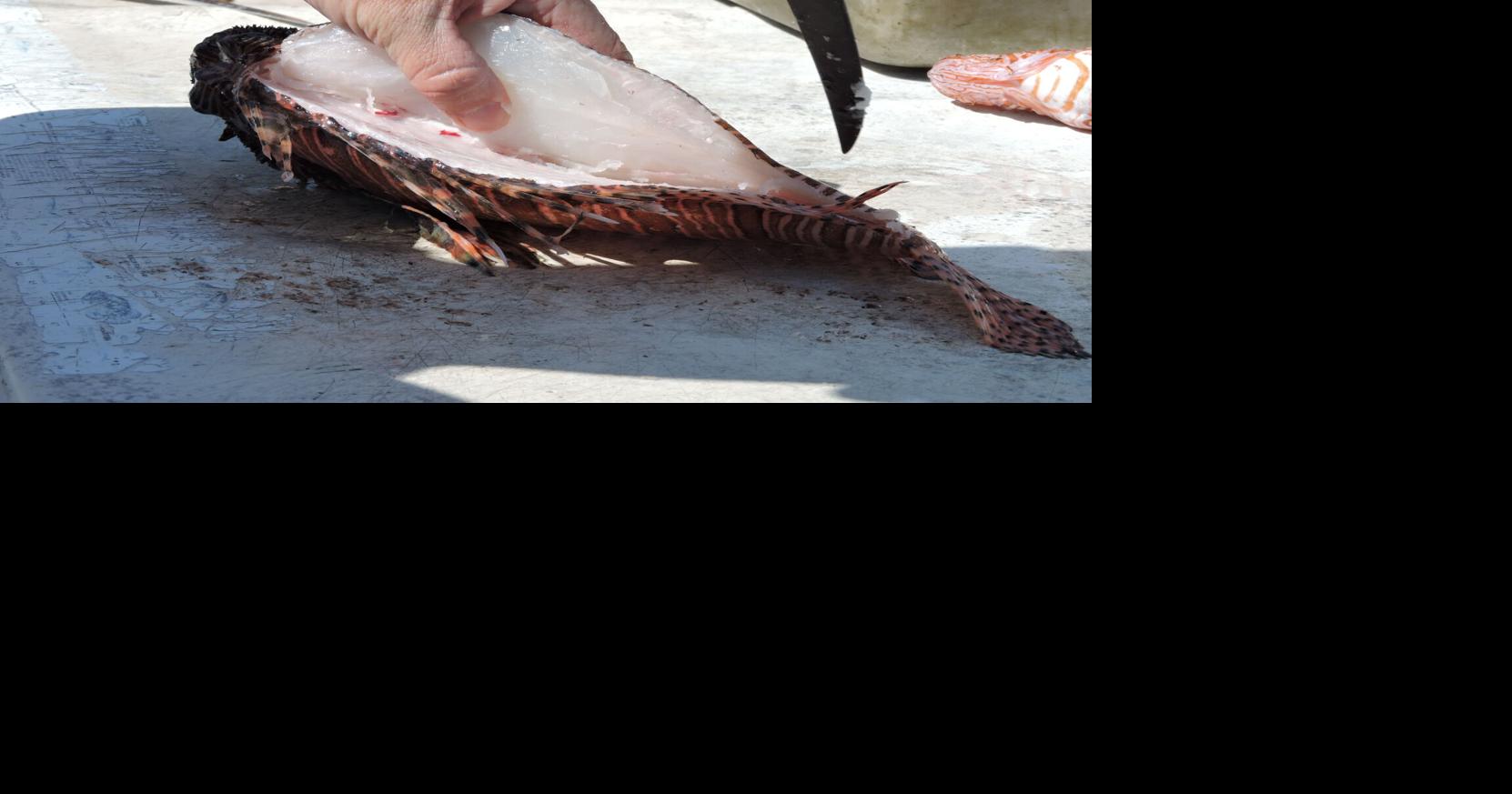 Dispose of fish properly | Mile Markers | keysnews.com