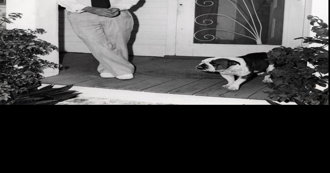 Key West events to celebrate Tennessee Williams on island he called ...