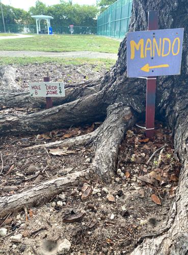 Florida Keys disc golf tournament gets professional sanction | Local ...