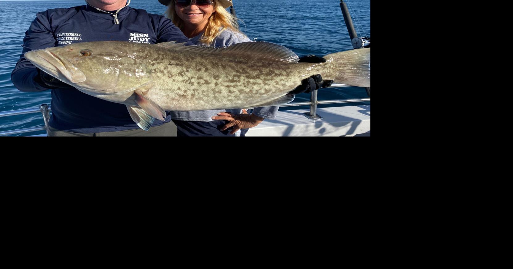 Council seeks input on grouper regulations | Local News | keysnews.com