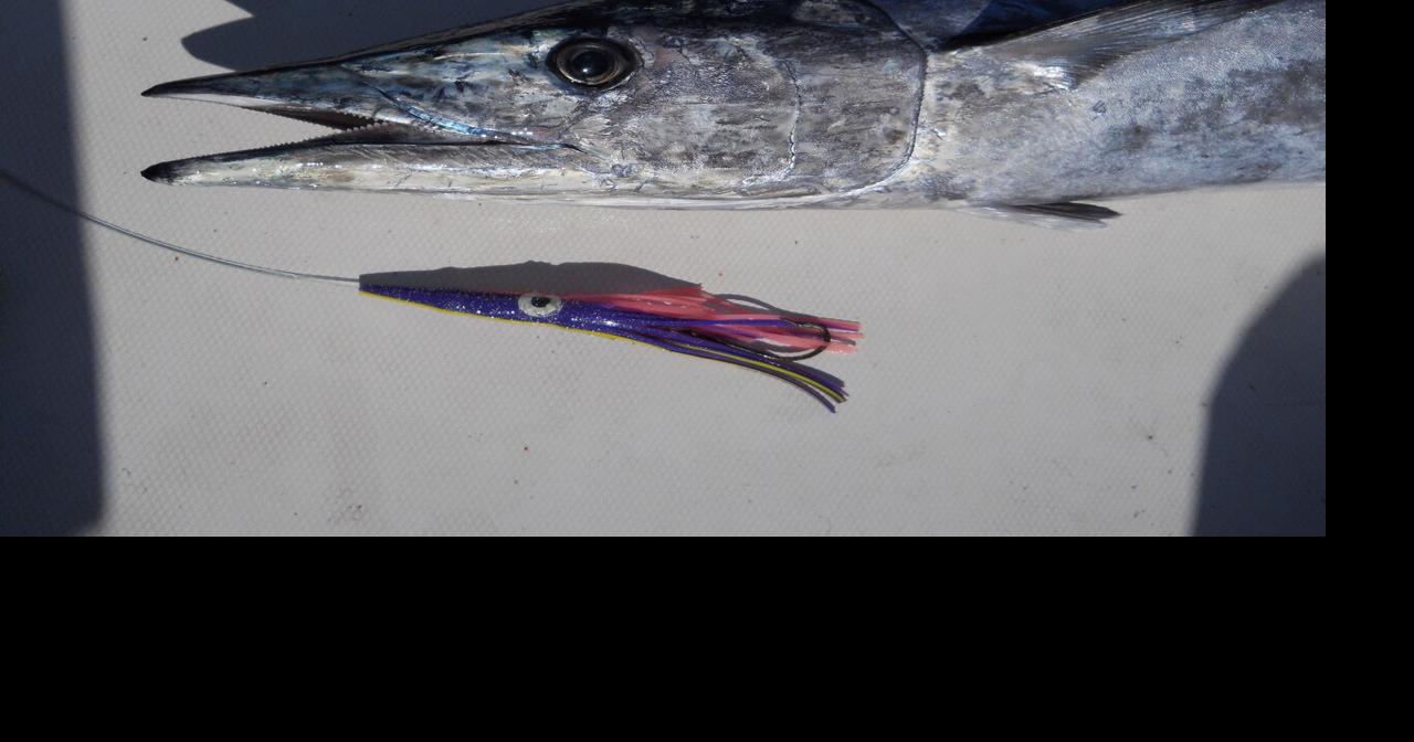 Catching wahoo — the hard way | Columns | keysnews.com