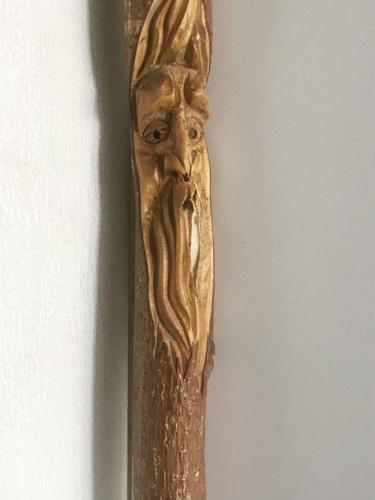 Vital tree is a lasting treasure | Columns | keysnews.com