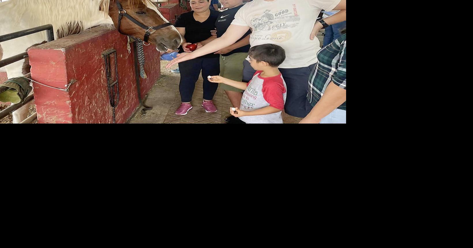 2023.11.10 autism horse 4.jpg | | keysnews.com