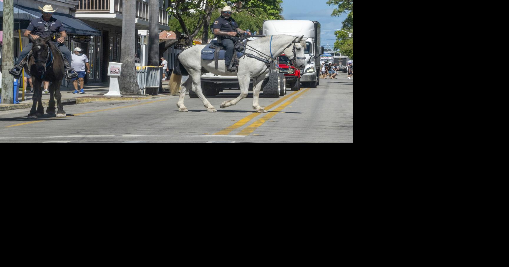 Key West Mounted Police unit patrols Duval Street | Community ...