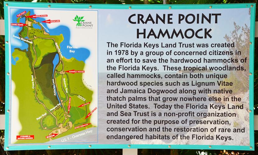FOCAL POINT: A stroll through the hammock | Local News | keysnews.com