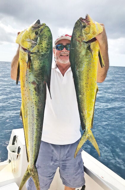 November mahi mahi? | Columns | keysnews.com