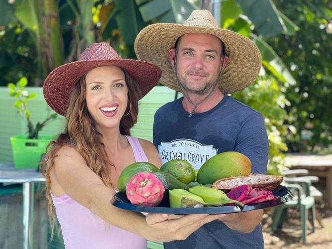 easy pickins simpson