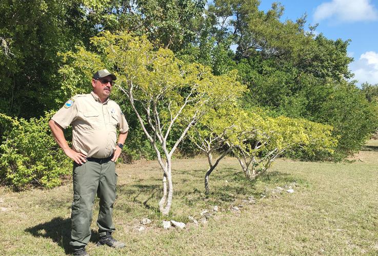 Lignumvitae Key offers a walk into centuries past | Local News ...