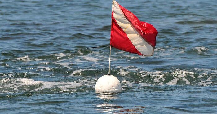 FWC urges divers to use flags | Mile Markers | keysnews.com