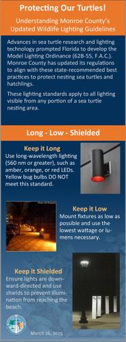 Monroe County updates sea turtle lighting requirements as season ...